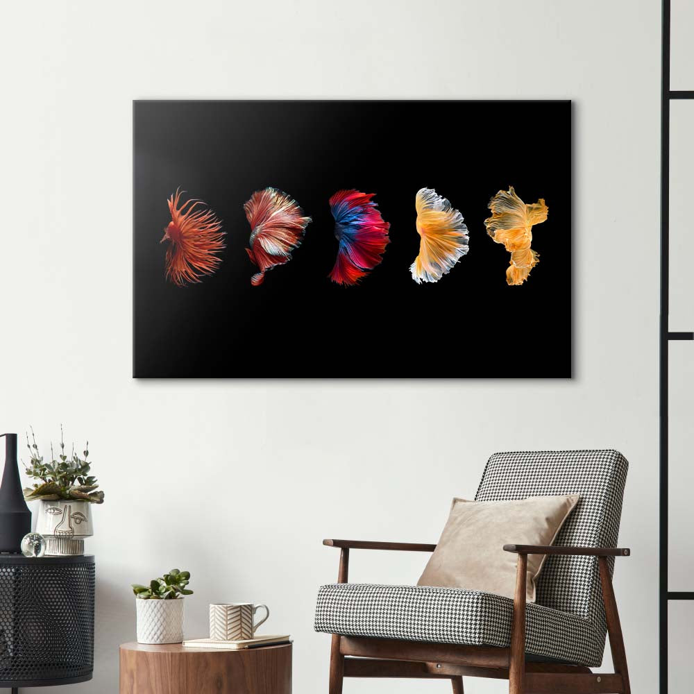 Betta Fish Tail Glass Wall Art - Glass Wall Art UK | CreoDeCore